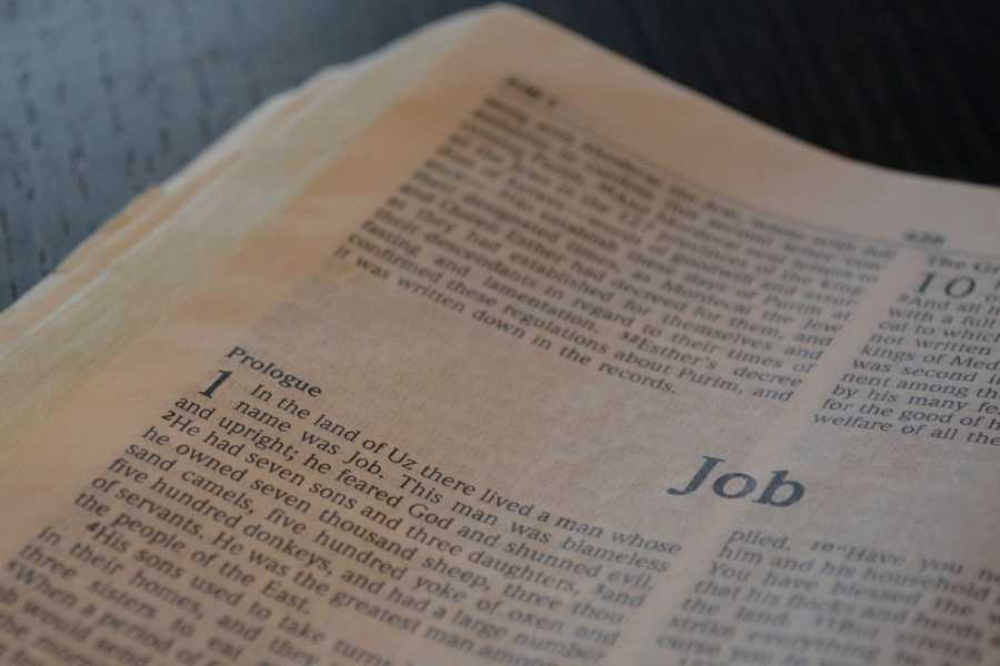 What Does the Book of Job Contribute to the Bible? | Bible to Life