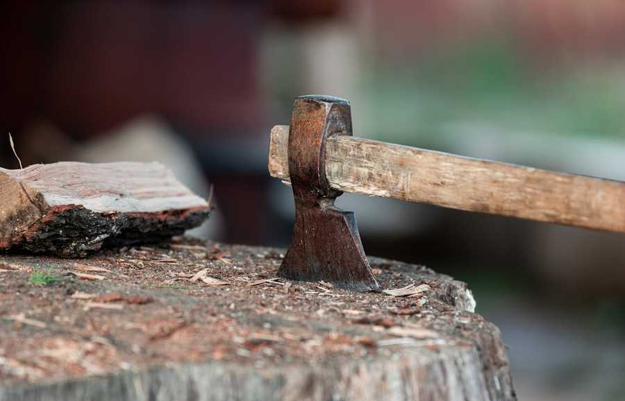 Sharpen That Ax, Son | Bible to Life