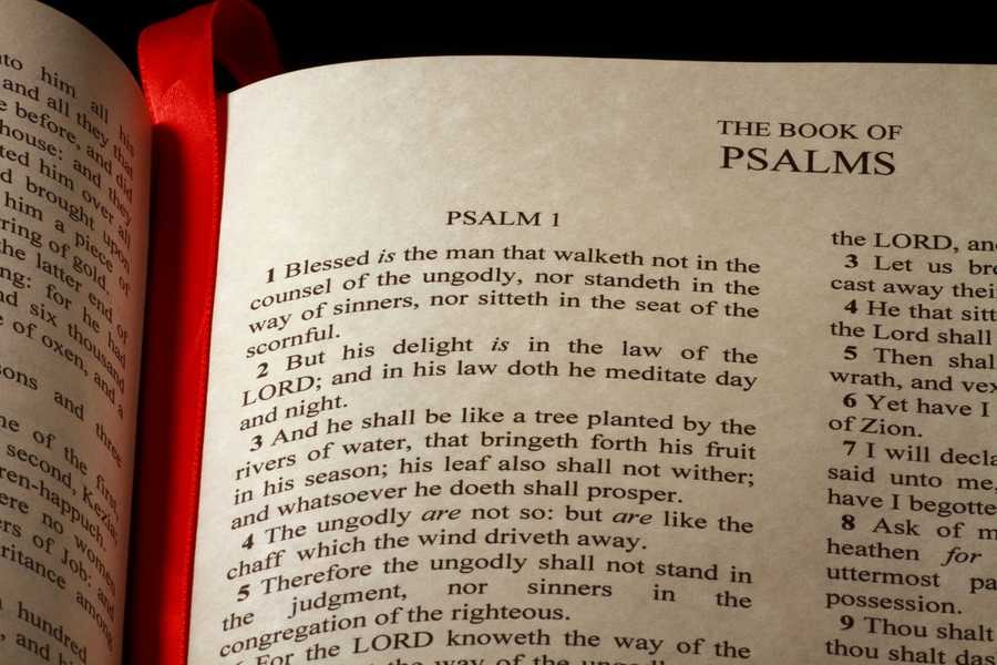 What Are the Different Genres of Psalms? | Bible to Life