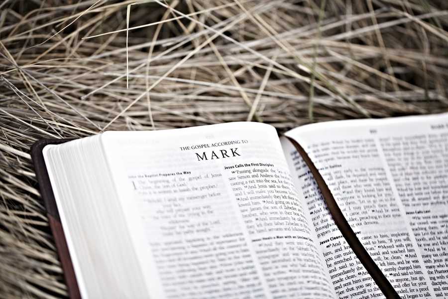 An Overview of the Gospel of Mark | Bible to Life