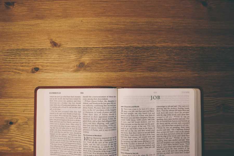 What Are the Purpose and Theme of the Book of Job? | Bible to Life
