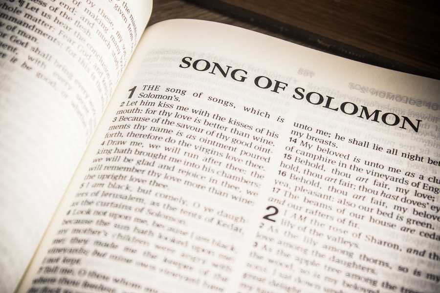 Who Wrote the Book of Song of Solomon and When Was It Written? | Bible ...