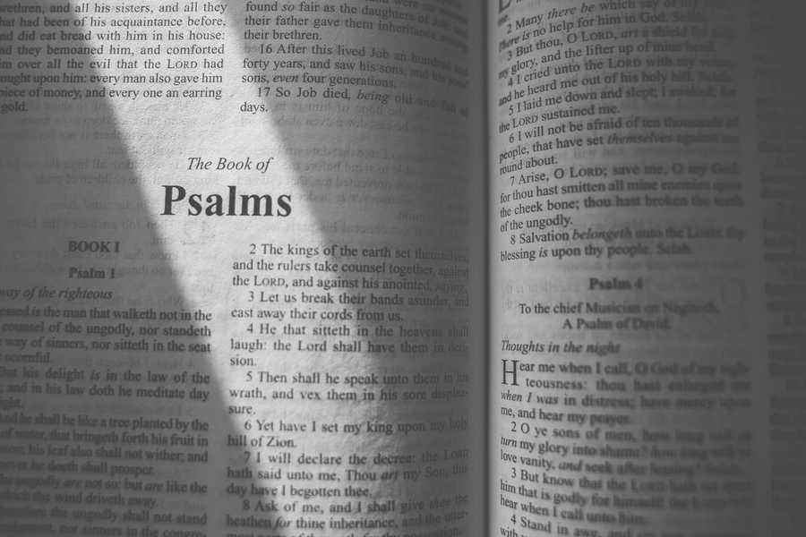 Who Wrote the Book of Psalms? | Bible to Life